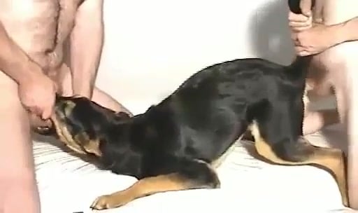 Biter Receives A Double Penetration