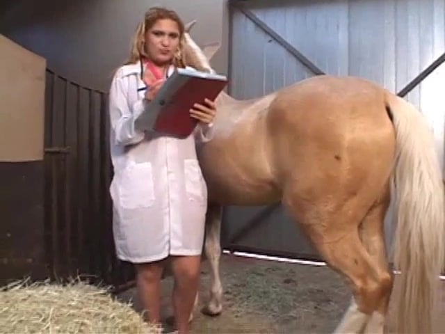 Horse Fuck Girl 8