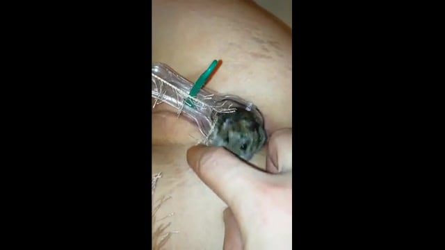 An Actual Rat Is Now Going To Live In Her Pussy