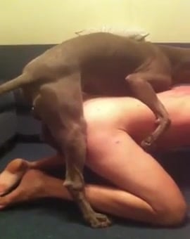 Gay twink Fucked By Male Dog