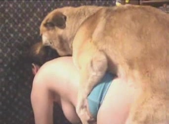 Another Shawn Dog Sex Video