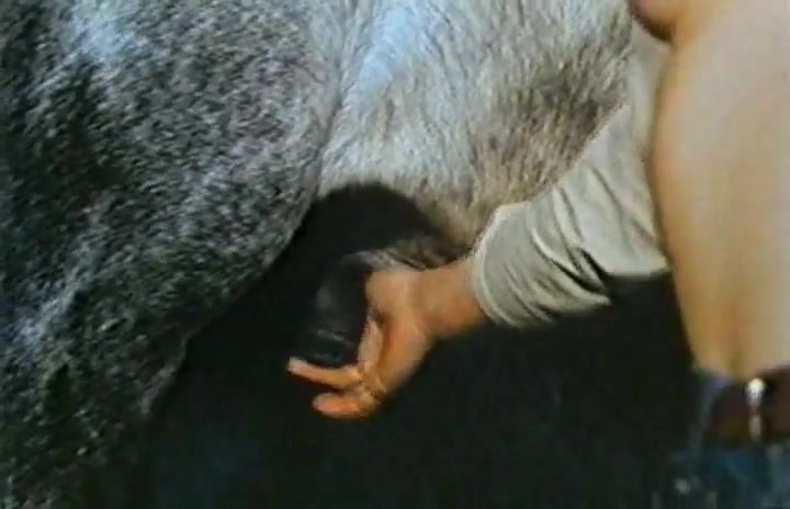 Il Capriccio Di Paola 1986